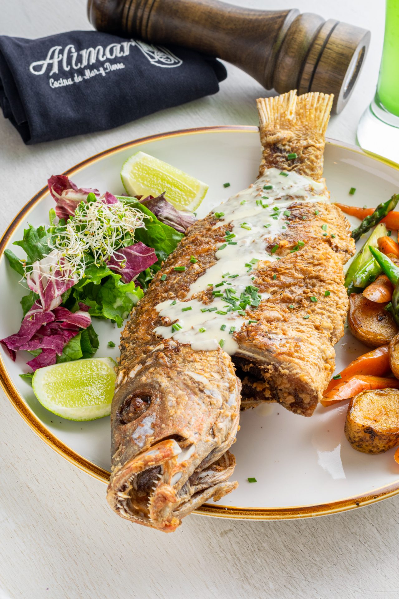 Menú Principal - ALIMAR